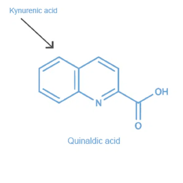 Quinaldic acid Antibody - Mouse Monoclonal - Immusmol